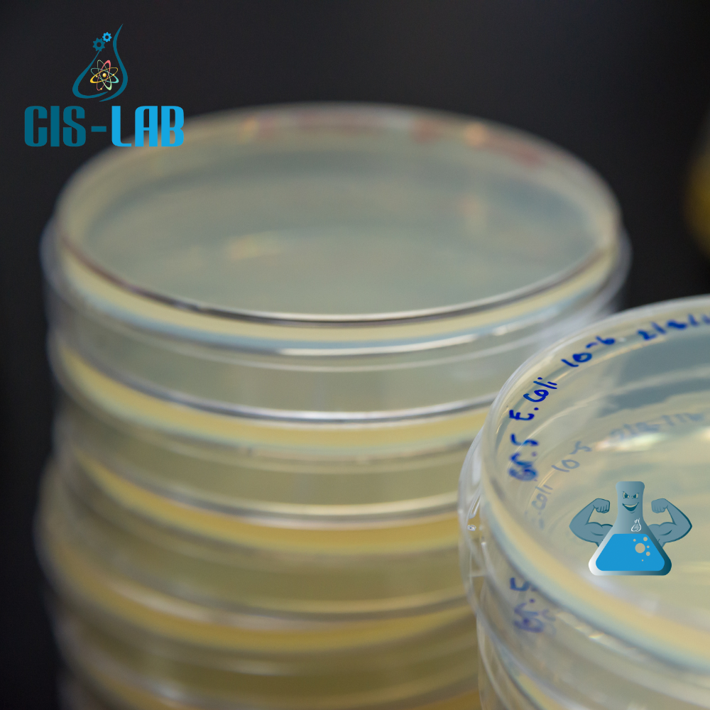 Agar Laboratorio: Tipos, Usos, Historia y Propiedades Esenciales