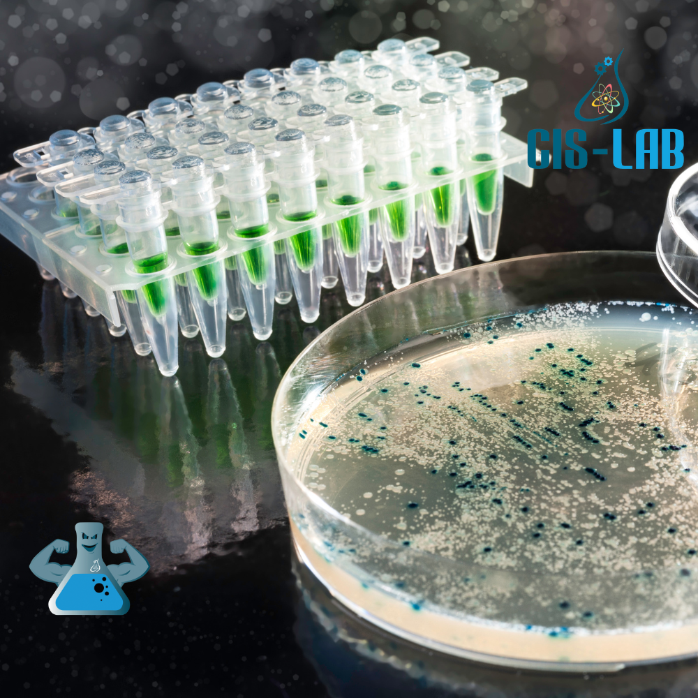 Agar Laboratorio: Tipos, Usos, Historia y Propiedades Esenciales