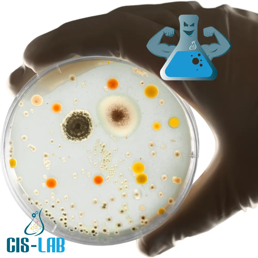 Agar Laboratorio: Tipos, Usos, Historia y Propiedades Esenciales