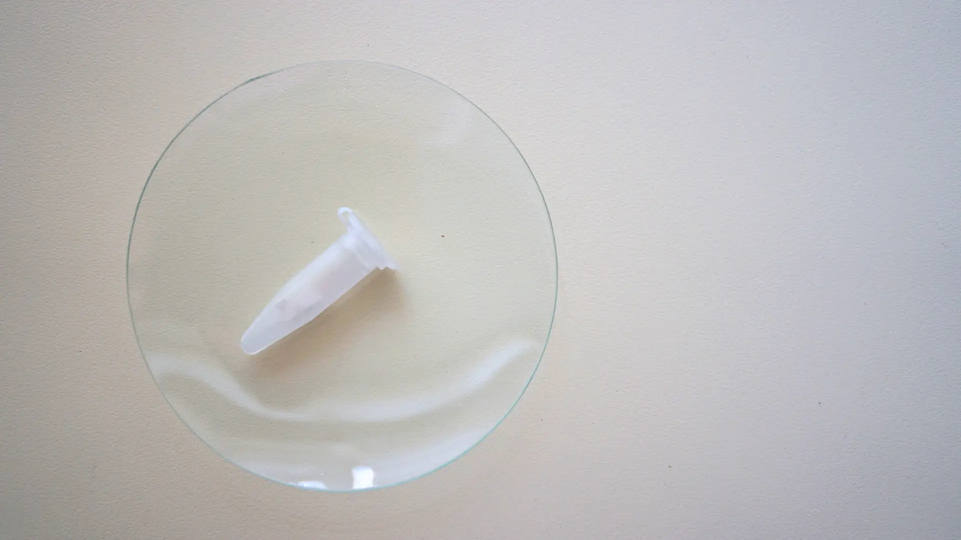 ¿Qué es un Vidrio de Reloj y Cuáles son sus Funciones en el Laboratori